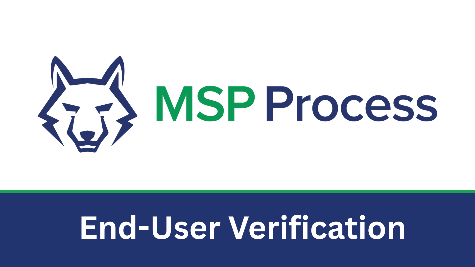 MSP Process